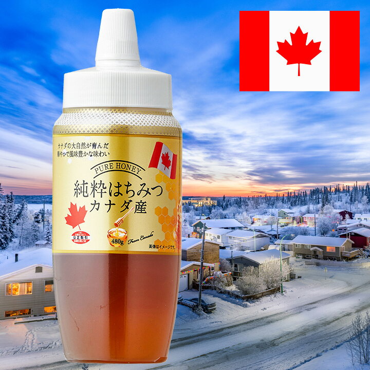 カナダ産 純粋蜂蜜 480g 100% 天然 はちみつ 無添加 広大な大地が育んだ 混じりけのない輝き 澄み切った空気が流れる、カナダの広大な大地から届いた純粋蜂蜜。厳しい品質基準をクリアした、安心・安全の天然はちみつです。たっぷり使える4...