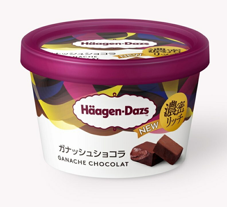 アイス バレンタイン ホワイトデー 期間限定 ハーゲンダッツ HDガナッシュショコラ 110ml×6個 ギフト 新商品 誕生日 差し入れ 誕生日プレゼント イベント アイス バレンタイン ホワイトデー 冬ギフト 期間限定 年賀 新商品 プレ...