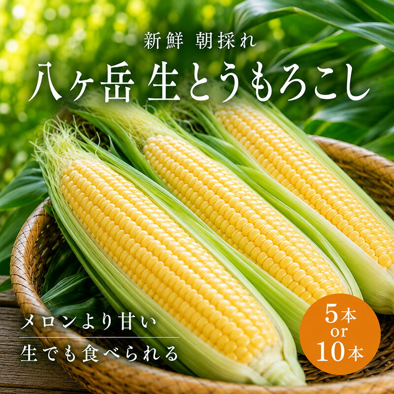 ※2026/6/14～一般販売価格6200円となります。 商品のポイント ■ まるでフルーツ！糖度約20度の「八ヶ岳生とうもろこし」 毎年10万本以上を出荷し、それでも完売してしまう大人気商品。長野県原村の同級生ふたりが立ち上げた「ハマラノ...