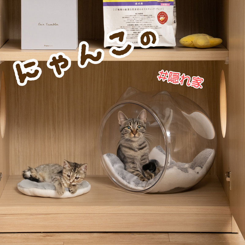 商品詳細 ■商品について/猫耳PET素材のスケルトンボール　猫ear　クッション付。猫耳PET素材のスケルトンボール　猫ear　クッション付「愛猫のためのスタイリッシュな秘密基地。」猫耳型PET素材を使用したスケルトンボールの隠れ家は、透明...