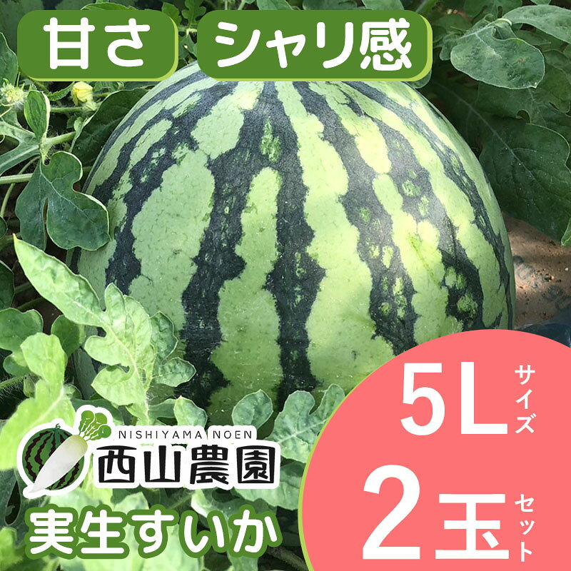商品情報 　　商品名 実生すいか（匠すいか）2玉セット 　商品説明 8~9月に収穫される実生スイカは自根栽培（スイカの根で栽培）で育てたスイカです。 スイカは栽培中に病気になりやすいことから接ぎ木栽培が主流の今、スイカ本来の味をみなさまに味...