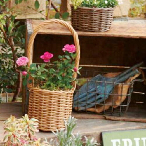 自宅の室内やお庭・オフィスなどお気に入りの植物との癒しの空間を、aarde(アールデ)の個性的でおしゃれな植木鉢で彩ってみてはいかがでしょうか？また、植木鉢はプレゼントとして贈った方のそばに置いてもらえることが多いです。記念日・誕生日・バレ...