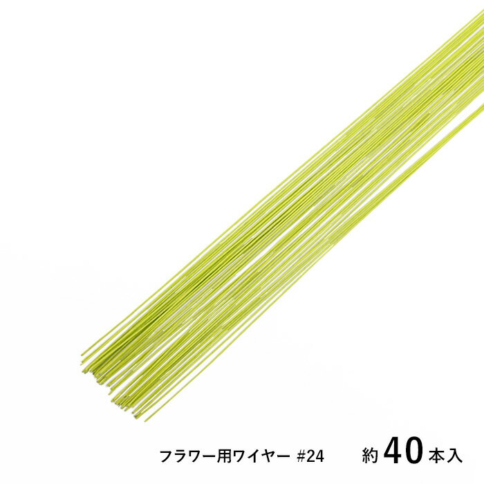 商品名：SUNRISE 地巻ワイヤー フラワー用ワイヤー #24 ライトグリーン 約40本入品　番：fw-lg24サイズ：#24(φ0.55mm)/ 長さ:約36cm容量：約40本入フラワーアレジメントやクラフト製作に使用するワイヤーです。...