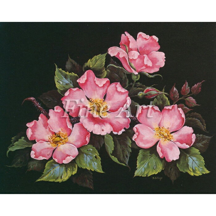 商品名：シャドープリント「ワイルドローズ」 FA18-007品　番：fa18-007サイズ：サイズ：4×5インチ素　材：-重　量：-詳　細：ジェム・アートZG1000（切り方図案付きセット）4枚1組納　期：1〜2週間以内に配送シャドーボック...