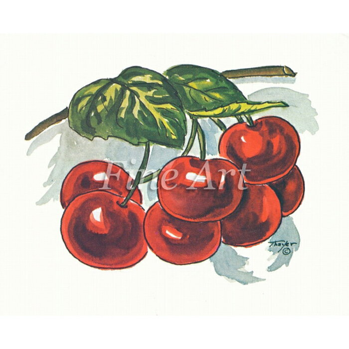 商品名：シャドープリント「チェリー」 FA18-090メール便/宅配便可品　番：fa18-090サイズ：4×5インチ　素　材：-重　量：-詳　細：ジェム・アート 224（切り方図案付きセット） 4枚1組　納　期：1〜2週間以内に配送シャドー...