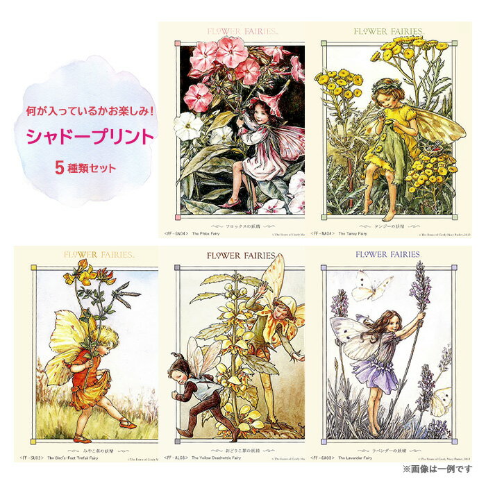 商品名：シャドープリント 何が入っているかお楽しみ! ランダム5種類セット FLOWER FAIRIES 品　番：abcat-fft-5サイズ：約14.8×11.4cm容量：1つあたり プリント4枚入詳　細：【ご注意ください】 画像は一例で...