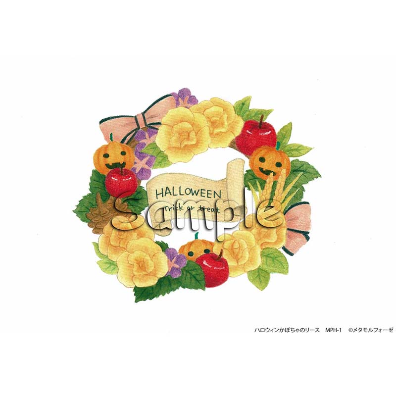 プリントサイズ：10.5×14.8cm（プリント5枚入）メタモルフォーゼ監修オリジナルテキスト付