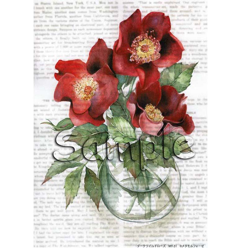 商品名：シャドープリント 「ダークワイルドローズ」メール便/宅配便可品　番：my-31サイズ：約210×148mm（プリント6枚入）A5サイズシャドープリント シャドーボックス デコパージュ ポストカード カード 手芸 ハンドメイド 手作り...