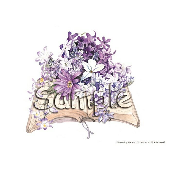 商品名：シャドープリント ブルーベルとプシュキニア メール便/宅配便可品　番：my-36サイズ：約148×210mm(A5サイズ)容量：プリント6枚入詳　細：テキスト付シャドープリント シャドーボックス デコパージュ ポストカード カード ...