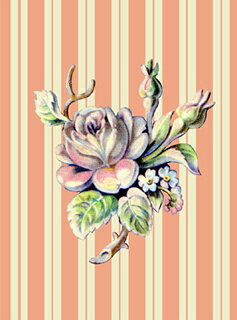 超耐水ハイクオリティーペーパー(マットタイプ)スタジオFeel(フィール）立体テキストシート(A4サイズ）セット内容1枚のA4シートに型紙、パーツ、作り方手順が記載されています。サイズ：A4　1/2サイズ