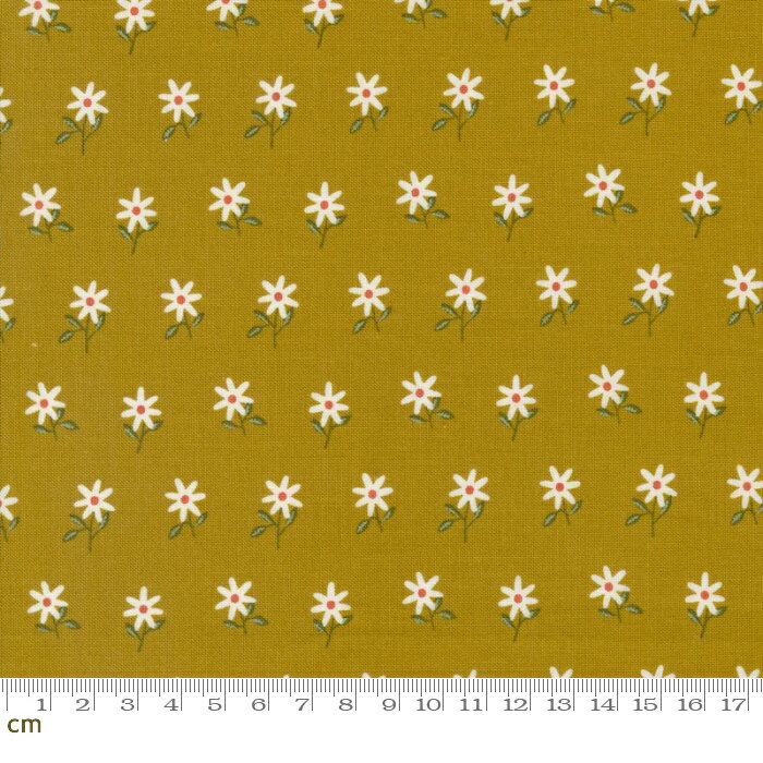 【Imaginary Flowers(イマジナリー フラワーズ)】 お散歩しましょ♪明るい陽のあたる所へ！ どのデザインもデザイナーの特徴である手描きイラストのスタイルが魅力的で 遊び心あふれる花々があなたを想像を超えた世界へと誘ってくれま...