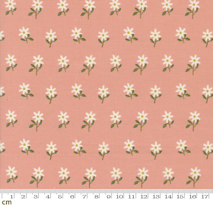 【Imaginary Flowers(イマジナリー フラワーズ)】 お散歩しましょ♪明るい陽のあたる所へ！ どのデザインもデザイナーの特徴である手描きイラストのスタイルが魅力的で 遊び心あふれる花々があなたを想像を超えた世界へと誘ってくれま...