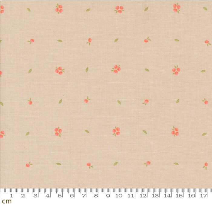 【Abloom(アブルーム)】 コーラル、アプリコット、ピーチに、ライト＆ダークグレー （私のお気に入り）とあたたかいグリーンを 組み合わせた色合いです。「Apricot & Ash」を 思わせる雰囲気に春らしいアクアカラーも加えています。...