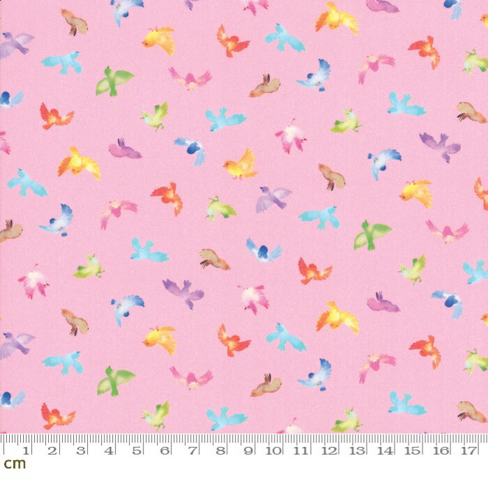 【Flights of Fancy(ファイト オブ ファンシー)】 幻想的な花々が咲き誇る水彩画のような柔らかな風景の中を鮮やかな鳥たちが飛び交います。 葉、斑点、羽の生えた生き物たちが目を楽しませるコレクションを生み出します。 品番：mo...