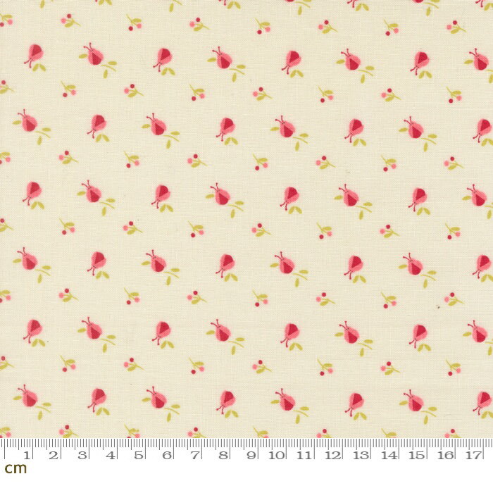 【Lyda Rose(ライダ ローズ)】 Lyda Rose(ライダ・ローズ)は、昨年庭に植えたシュラブローズから生まれたファブリックコレクションです。 白とピンクの花を咲かせたあの朝の感動が、このシリーズの原点になりました。 やさしい日差...
