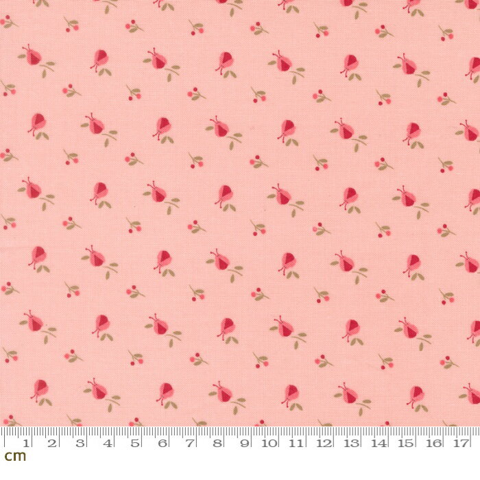 【Lyda Rose(ライダ ローズ)】 Lyda Rose(ライダ・ローズ)は、昨年庭に植えたシュラブローズから生まれたファブリックコレクションです。 白とピンクの花を咲かせたあの朝の感動が、このシリーズの原点になりました。 やさしい日差...