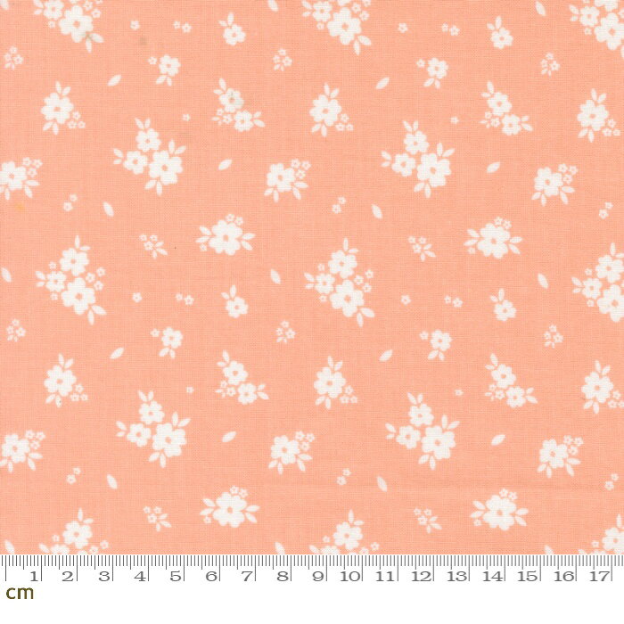 【Pastel Prairie(パステル プレーリー)】 “甘い香りとやわらかな色に包まれて。” 穏やかなプレーリーの風景と、ゆったりと流れる日々の心地よさを描いたコレクション。 あたたかな陽射しや花の香り、家に満ちるやさしい空気感を、夢見...