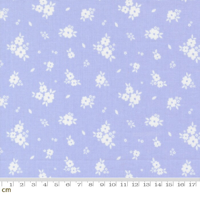 【Pastel Prairie(パステル プレーリー)】 “甘い香りとやわらかな色に包まれて。” 穏やかなプレーリーの風景と、ゆったりと流れる日々の心地よさを描いたコレクション。 あたたかな陽射しや花の香り、家に満ちるやさしい空気感を、夢見...