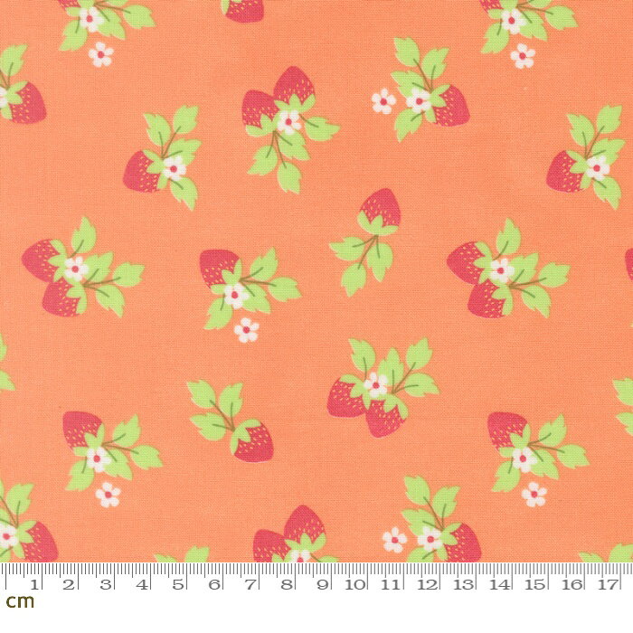 【Fruit Salad(フルーツ サラダ)】 太陽をたっぷり浴びたフルーツと、暖かな季節の裁縫時間から着想を得た「Fruit Saladフルーツサラダ」コレクション。 いちごやレモン、ピーチやライムに加え、深みのあるエメラルドグリーンやベ...