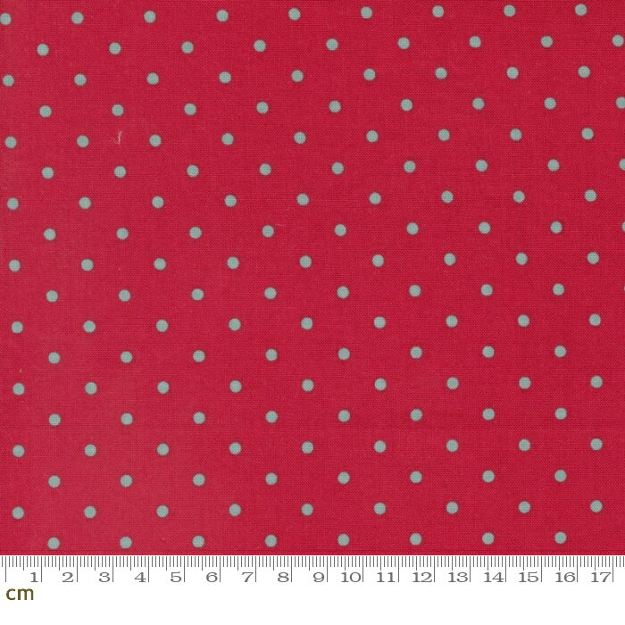 【My Summer House(マイ サマー ハウス)】 夏の涼しい休日をイメージしたファブリックシリーズ。 咲き誇る花柄と、赤と水色の素晴らしい色合いに 組み合わせたユニークな幾何学模様が特徴です。 品番：moda-3046-16 シリ...