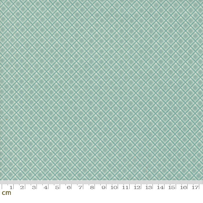 【My Summer House(マイ サマー ハウス)】 夏の涼しい休日をイメージしたファブリックシリーズ。 咲き誇る花柄と、赤と水色の素晴らしい色合いに 組み合わせたユニークな幾何学模様が特徴です。 品番：moda-3048-13 シリ...