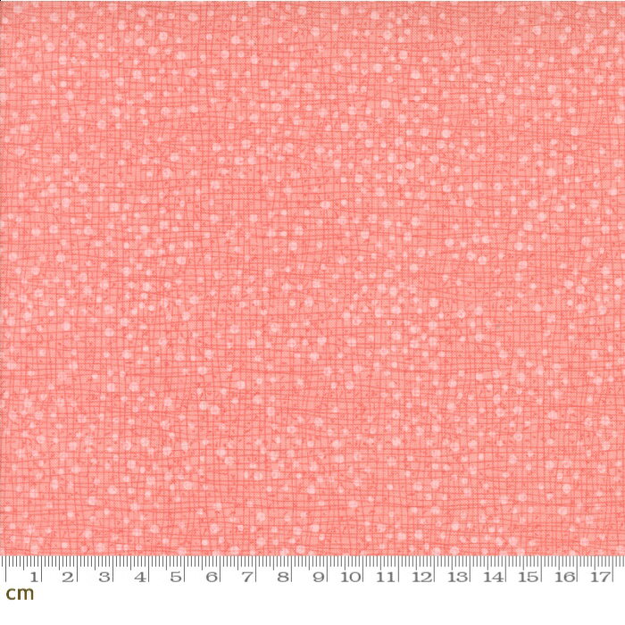 【Superbloom(スーパーブルーム)】 今回のコレクションには、幅広のグラデーションプリントに 新しいカラーバリエーションが加わりました。深みのある ジュエルトーンに加えて、明るく繊細な色合いも登場。 お好みに合わせて選ぶのはもちろん...