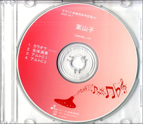 ***ご注意***こちらの【取寄品】の商品は、弊社に在庫がある場合もございますが、基本的に出版社からのお取り寄せとなります。まれに版元品切・絶版などでお取り寄せできない場合もございますので、恐れ入りますが予めご了承いただけると幸いでございま...