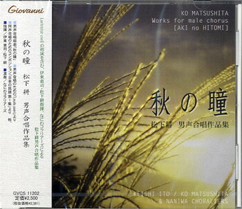メーカー:（有）アールミックJAN:4571132731019PCD:GVCS11202刊行日:2012/06/01　