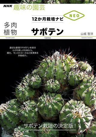 ***ご注意***こちらの【取寄品】の商品は、弊社に在庫がある場合もございますが、基本的に出版社からのお取り寄せとなります。まれに版元品切・絶版などでお取り寄せできない場合もございますので、恐れ入りますが予めご了承いただけると幸いでございま...