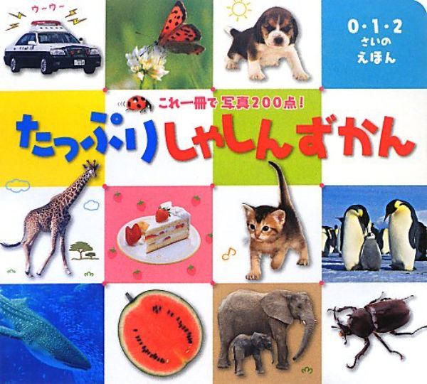 ***ご注意***こちらの【取寄品】の商品は、弊社に在庫がある場合もございますが、基本的に出版社からのお取り寄せとなります。まれに版元品切・絶版などでお取り寄せできない場合もございますので、恐れ入りますが予めご了承いただけると幸いでございま...
