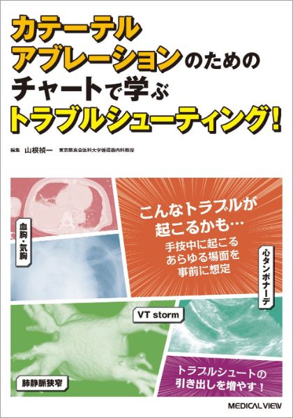 ***ご注意***こちらの【取寄品】の商品は、弊社に在庫がある場合もございますが、基本的に出版社からのお取り寄せとなります。まれに版元品切・絶版などでお取り寄せできない場合もございますので、恐れ入りますが予めご了承いただけると幸いでございま...
