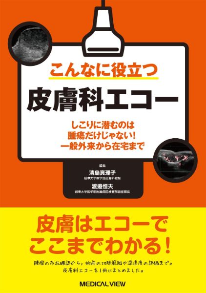 ***ご注意***こちらの【取寄品】の商品は、弊社に在庫がある場合もございますが、基本的に出版社からのお取り寄せとなります。まれに版元品切・絶版などでお取り寄せできない場合もございますので、恐れ入りますが予めご了承いただけると幸いでございま...