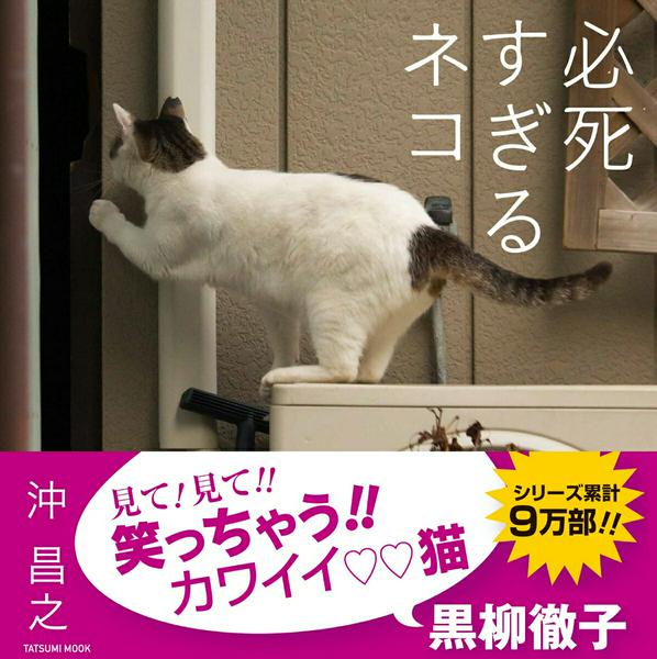 ***ご注意***こちらの【取寄品】の商品は、弊社に在庫がある場合もございますが、基本的に出版社からのお取り寄せとなります。まれに版元品切・絶版などでお取り寄せできない場合もございますので、恐れ入りますが予めご了承いただけると幸いでございま...