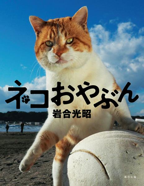***ご注意***こちらの【取寄品】の商品は、弊社に在庫がある場合もございますが、基本的に出版社からのお取り寄せとなります。まれに版元品切・絶版などでお取り寄せできない場合もございますので、恐れ入りますが予めご了承いただけると幸いでございま...