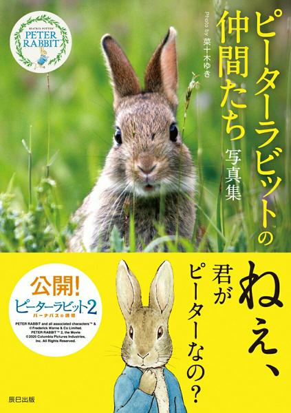 ***ご注意***こちらの【取寄品】の商品は、弊社に在庫がある場合もございますが、基本的に出版社からのお取り寄せとなります。まれに版元品切・絶版などでお取り寄せできない場合もございますので、恐れ入りますが予めご了承いただけると幸いでございま...