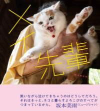 ***ご注意***こちらの【取寄品】の商品は、弊社に在庫がある場合もございますが、基本的に出版社からのお取り寄せとなります。まれに版元品切・絶版などでお取り寄せできない場合もございますので、恐れ入りますが予めご了承いただけると幸いでございま...