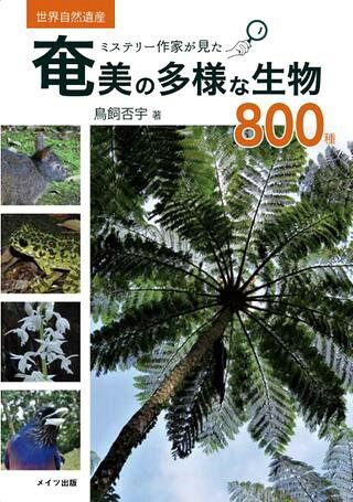 ***ご注意***こちらの【取寄品】の商品は、弊社に在庫がある場合もございますが、基本的に出版社からのお取り寄せとなります。まれに版元品切・絶版などでお取り寄せできない場合もございますので、恐れ入りますが予めご了承いただけると幸いでございま...