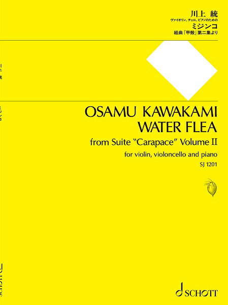 ***ご注意***こちらの【取寄品】の商品は、弊社に在庫がある場合もございますが、基本的に出版社からのお取り寄せとなります。まれに版元品切・絶版などでお取り寄せできない場合もございますので、恐れ入りますが予めご了承いただけると幸いでございま...