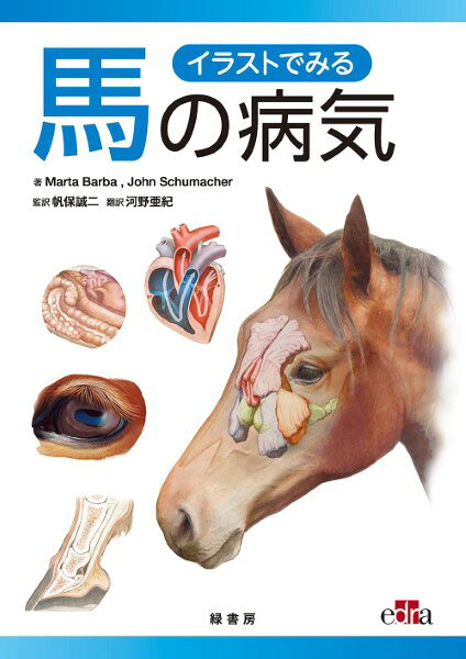 ***ご注意***こちらの【取寄品】の商品は、弊社に在庫がある場合もございますが、基本的に出版社からのお取り寄せとなります。まれに版元品切・絶版などでお取り寄せできない場合もございますので、恐れ入りますが予めご了承いただけると幸いでございま...