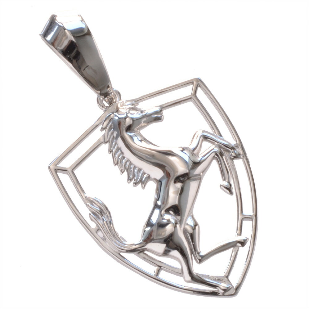 商品番号 DXD00718 使用貴金属 Pt900（プラチナ900） 刻印有り 使用石 ダイヤモンド計0.002カラット 刻印有り 総重量 約5g サイズ 横:約18mm 縦約32mm（バチカン含む） 厚み:約3.3mm バチカン内径 縦幅...