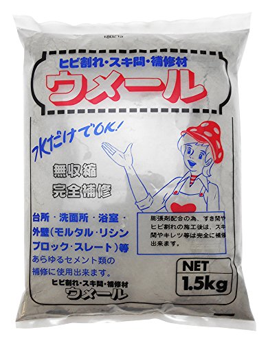 グレー/-/-・Color:グレー・パッケージ個数:1・施工面積:塗り厚5mmで500mmX400mm位水だけでOK! ヒビ割れ・スキ間・補修材 無収縮、完全補修! 膨張剤配合の為、すき間やヒビ割れの施工後は、スキ間やキレツ等は完全に補修で...