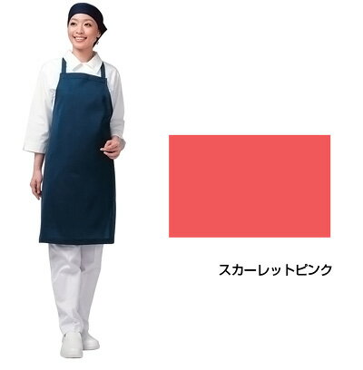 【仕様】 メーカー品番:E5200 サイズ:フリー 色:44T スカーレットピンク 着丈:83cm 身幅:70cm 質量:180g アイメッシュ○R エプロン ●究極の通気性、耐久撥水性に抗菌性をプラスした高機能繊維。 ●活動中も通気感覚が...