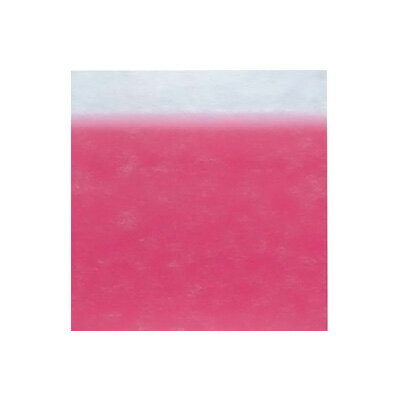 【仕様】 縦×横：約900×900mm 質量：0.3kg 材質：ナイロン不織布100%