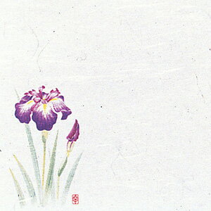 【仕様】 メーカー品番：W5-4 幅×奥行：150×150mm ●無蛍光雲流遠赤抗菌和紙を使用しております。 ※御注文の際は、200枚単位でお願いします。 〈特長〉 ●優れた抗菌効果と遠赤外線放射。 ●雑菌(大腸菌、病原性大腸菌O-157)...