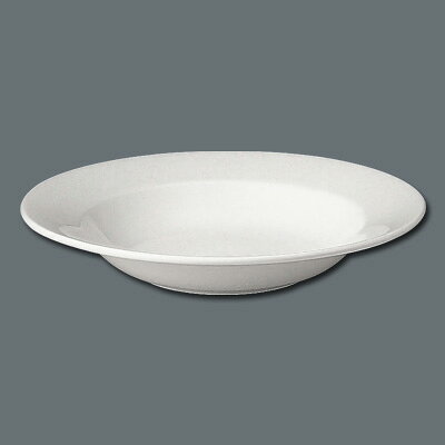 【仕様】 メーカー品番：40794-5471 直径×高さ：240×43mm ナルミ ファインチャイナ パティアシリーズ●レストラン使用を重視したアイテム構成で使いやすさに優れた「パティアシリーズ」●食のあらゆるシーンでお使いいただけるシンプ...