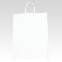 外寸:縦410×横320×マチ115mm材質:片艶クラフト紙,持ち手=紙 ■メーカー希望小売価格はメーカーカタログに基づいて掲載しています