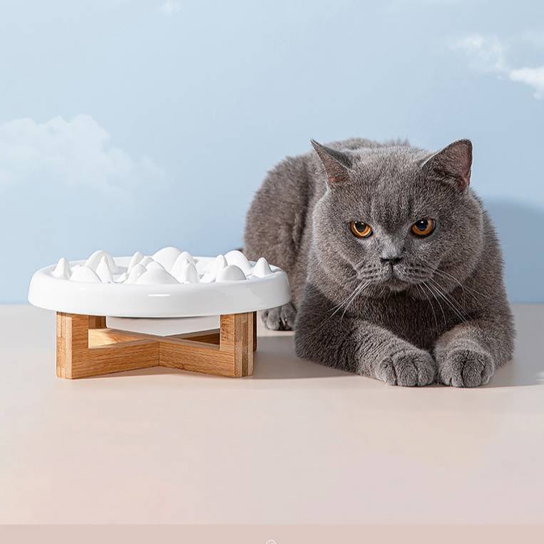 サイズ F サイズについての説明 21.5*9cm 素材 セラミック 色 写真色 備考 ●サイズ詳細等の測り方はスタッフ間で統一、徹底はしておりますが、実寸は商品によって若干の誤差(1cm～3cm )がある場合がございますので、予めご了承く...