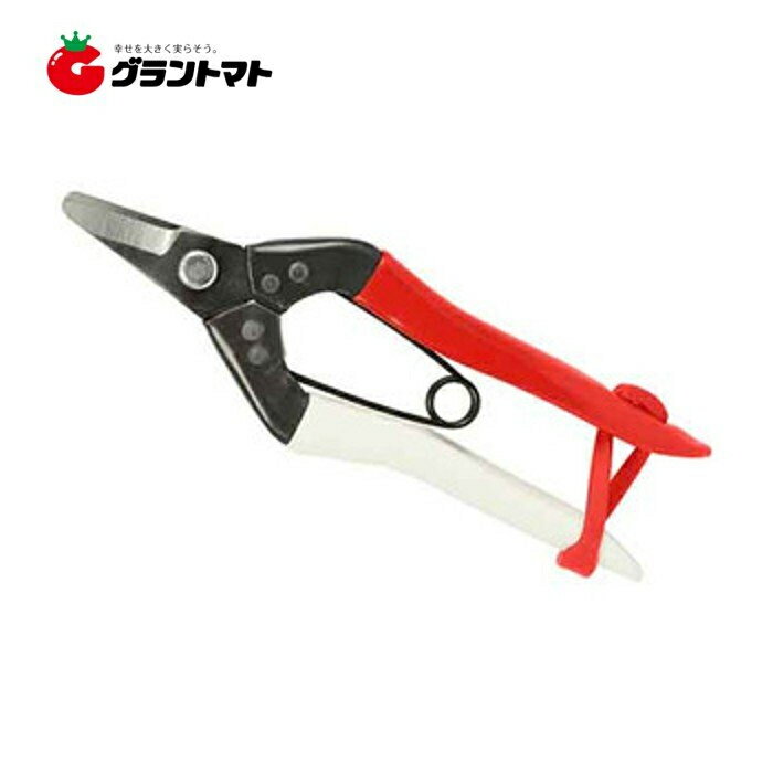 【取寄商品】 受注後に取寄せいたします。お届けまで1週間程度要します。 ・お手入れ、樹液・水気をとり、油(ミシン油等)でふき、サビを防いでください。・合わせの部分とリベット・バネ穴注油してください。・小指をバンドに通してご使用ください。鋏が...