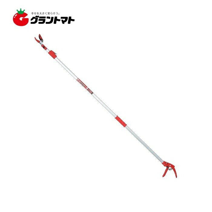 【特徴】・枝切り作業もでき、伸縮自在で果樹収穫に最適な高枝切鋏。・切る、つかむ、果樹収穫に最適。・付属の鋸刃で枝切り作業も可能。・2段パイプで3.0mまで伸縮可能。【仕様】生木切断能力:約10mmまで伸縮サイズ:1.8~3m(5段階調節)重...