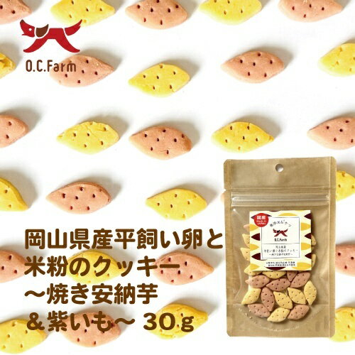 【この商品の特徴】 ・贅沢に焼き安納芋と紫芋のパウダーを使用した岡山県産平飼い卵と米粉のクッキー！ ・保存料、酸化防止剤、保湿剤、着色料、発色剤、甘味料、香料は使用しておりません。 【原材料】 米粉、片栗粉、蜂蜜、米油、卵、焼き安納芋パウダ...